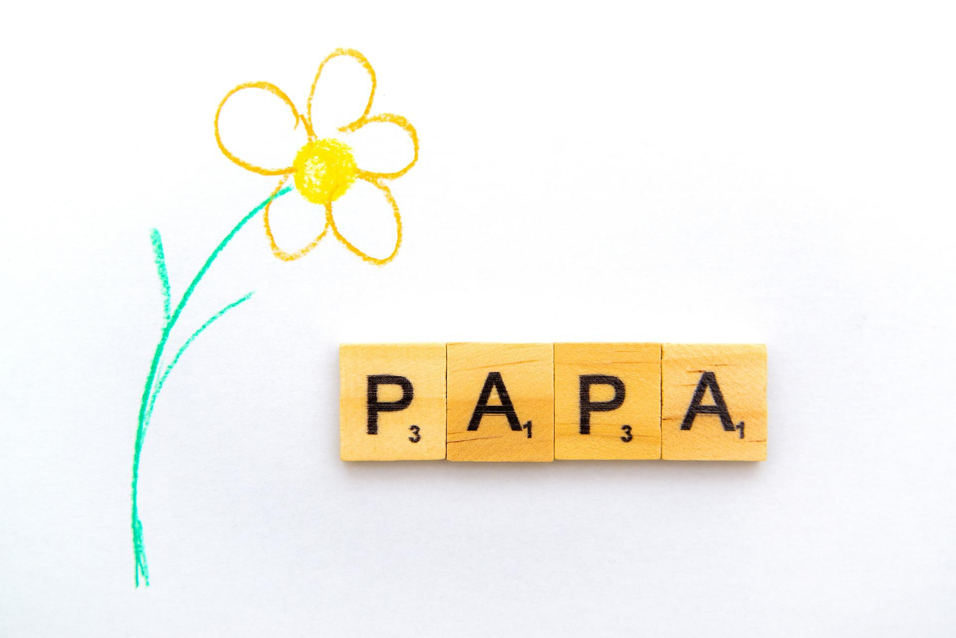 Amazing History of Father's Day, Facts, and Trivias | VIMI