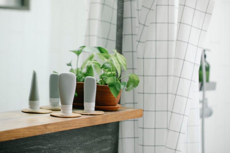 7 Best Plants for Bathroom Smells | VIMI
